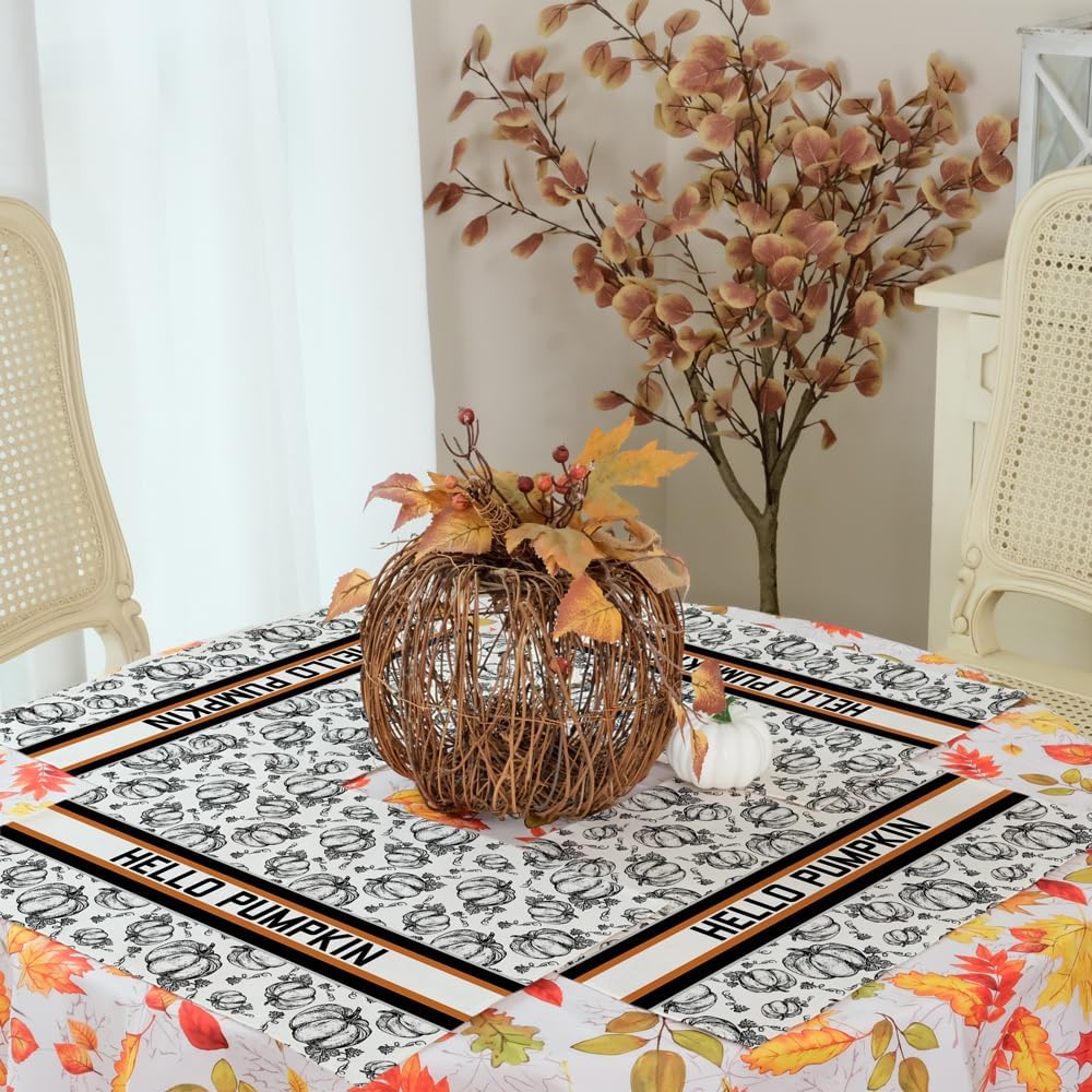 ARKENY Fall Thanksgiving Placemats 12x18 Inches Set of 4, Hello Pumpkin Hand Drawn,Seasonal Burlap Farmhouse Black White Indoor Kitchen Dining Table Autumn Decorations for Home Party AP446-18