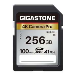 gigastone 256gb sd card,4k camera pro, a1 v30 sdxc memory card high speed 4k ultra hd uhd video compatible with canon nikon sony pentax kodak olympus panasonic digital camera, with 1 mini case