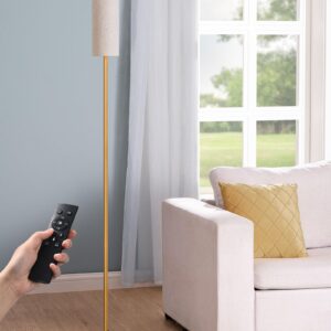 EDISHINE LED Corner Floor Lamp for Living Room, 65" Tall Standing Reading Lamp with Remote, Minimalist Dimmable Pole Lighting for Bedroom, Office, Kids Room, 9W Bulb Included, 2700K-6000K (Gold)