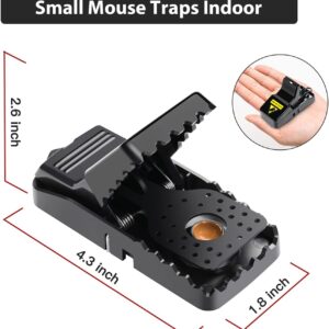 Dvcindy Mouse Traps Indoor for Home Small Mouse Trap for House Mice Snap Trap Effective Sanitary Quick Mouse Catcher - 12 Pack