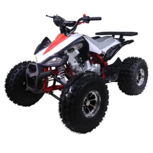 HHH Big Size Sporty ATV 125CC Platinum ATV CT 125-5 Fully Automatic 125 cc 4 wheeler with Reverse and Strong Agressive Tires and Aluminium Hub