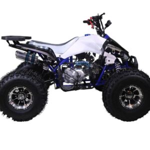 HHH Big Size Sporty ATV 125CC Platinum ATV CT 125-5 Fully Automatic 125 cc 4 wheeler with Reverse and Strong Agressive Tires and Aluminium Hub