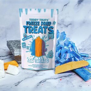 Trendy Treats Freeze Dried Candy, Freeze Dried Air Treats, Unique Candy Gift, Fun Exotic & Weird Candy - By the Famous Tik Tok TikTok Candy Channel TrendyTreats - 3.1oz