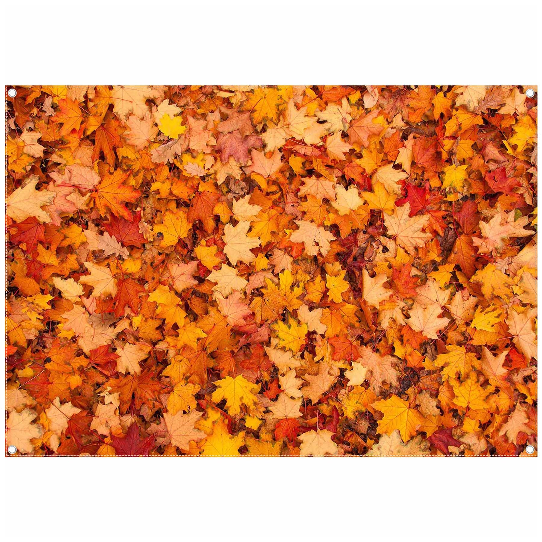 ZTHMOE 7x5ft Fall Maple Leaves Photography Backdrop Autumn Friendsgiving Scene Background Floor Party Supplies Halloween Decoration Banner Photo Booth Props