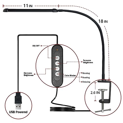 Phimuezl LED Desk Lamp with Clamp (Farmhouse)