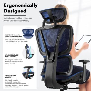 Ferghana Ergonomic Mesh Office Chair, High Back Home Desk Chair with Lumbar Support, Adjustable 3D Armrest and Headrest, Executive Swivel Computer Chair with 300Lbs Weight Capacity(Navy)