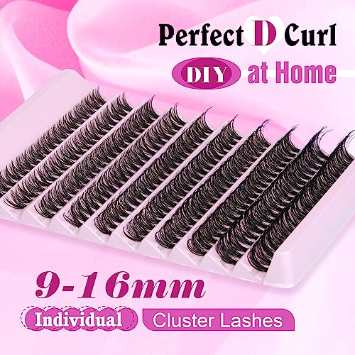 Lash Clusters 200 Pcs DIY Individual Lashes 9-16mm Natural Look Eyelash Extensions D Curl Wispy Individual Cluster Lashes DIY at Home Lash Extension Fluffy Eyelash Clusters by ALPHONSE(40D)