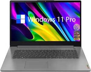 lenovo ideapad 3 business laptop, 17.3 inch fhd display, amd ryzen 5 5625u, 16gb ram, 1tb ssd, windows 11 pro, 10 number key, fingerprint, sd card reader, arctic grey, pcm