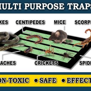 MaxGuard MaxGrip Glue Traps (24 Traps) Non-Toxic Extra Sticky Glue Board Pre-Baited with Fruity Scent Attractant Trap & Kill Insects, Bugs, Spiders, Crickets, Scorpions, Cockroaches, Centipedes, Mice