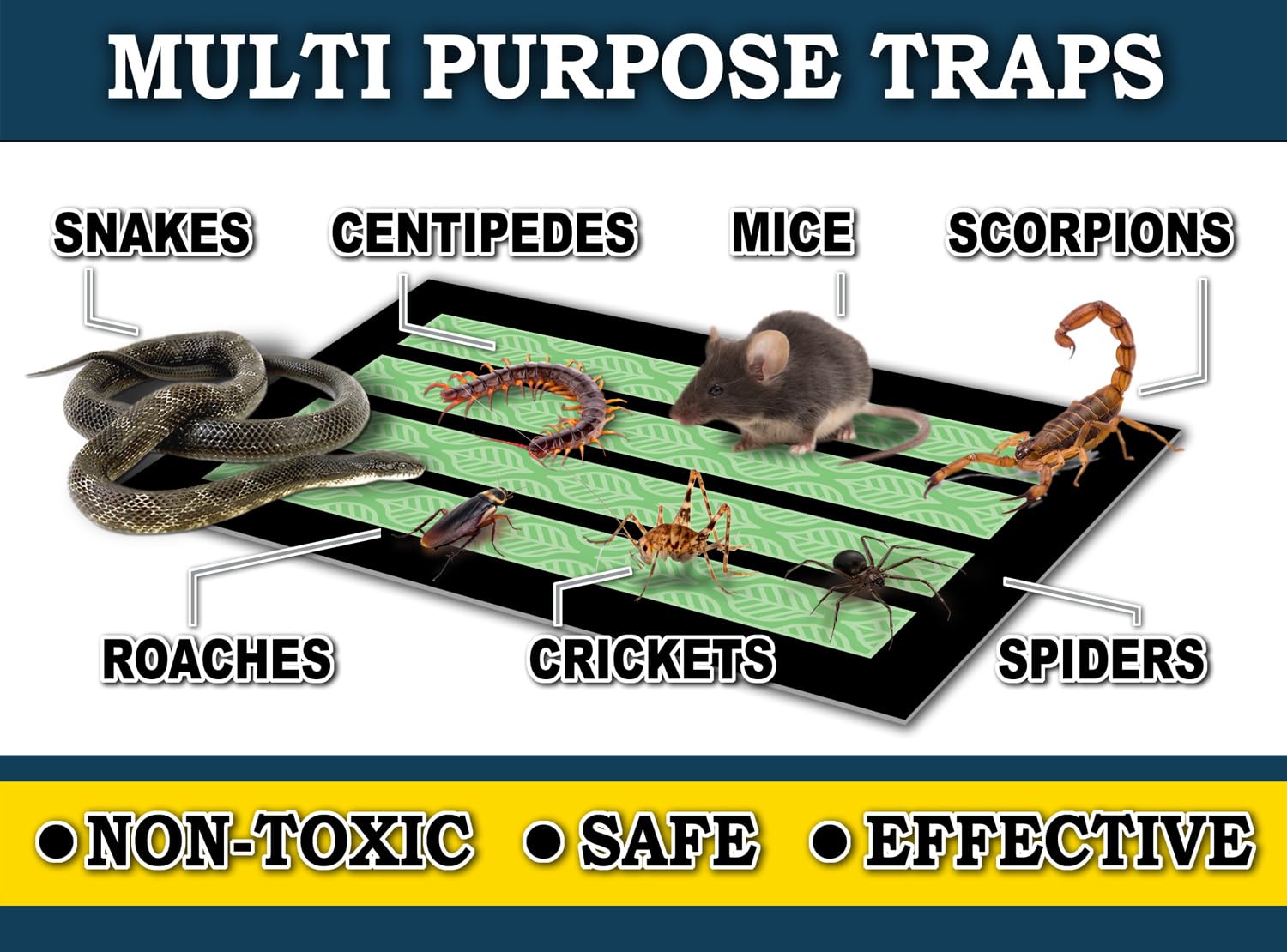 MaxGuard MaxGrip Glue Traps (24 Traps) Non-Toxic Extra Sticky Glue Board Pre-Baited with Fruity Scent Attractant Trap & Kill Insects, Bugs, Spiders, Crickets, Scorpions, Cockroaches, Centipedes, Mice