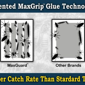 MaxGuard MaxGrip Glue Traps (24 Traps) Non-Toxic Extra Sticky Glue Board Pre-Baited with Fruity Scent Attractant Trap & Kill Insects, Bugs, Spiders, Crickets, Scorpions, Cockroaches, Centipedes, Mice