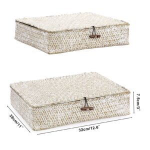 BTSKY 2 Pack Wicker Baskets With Lids Flat Woven Storage Bins for Shelf Organizing Natural Seagrass Storage Baskets with Lids Home Utility Organizer Box for Home & Office Supplies, Whitewash (Large)