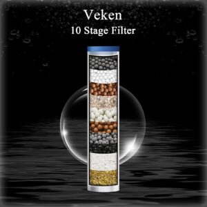 Veken Filtered Shower Head with Handheld