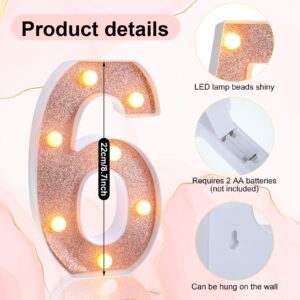 Treela 8.7'' Decorative LED Light up Numbers, Light up Number Sign for Night Party Decorations Happy Birthday LED Sign Backdrop Anniversary Party Bar Wall Decor(Rose Gold, 60th)