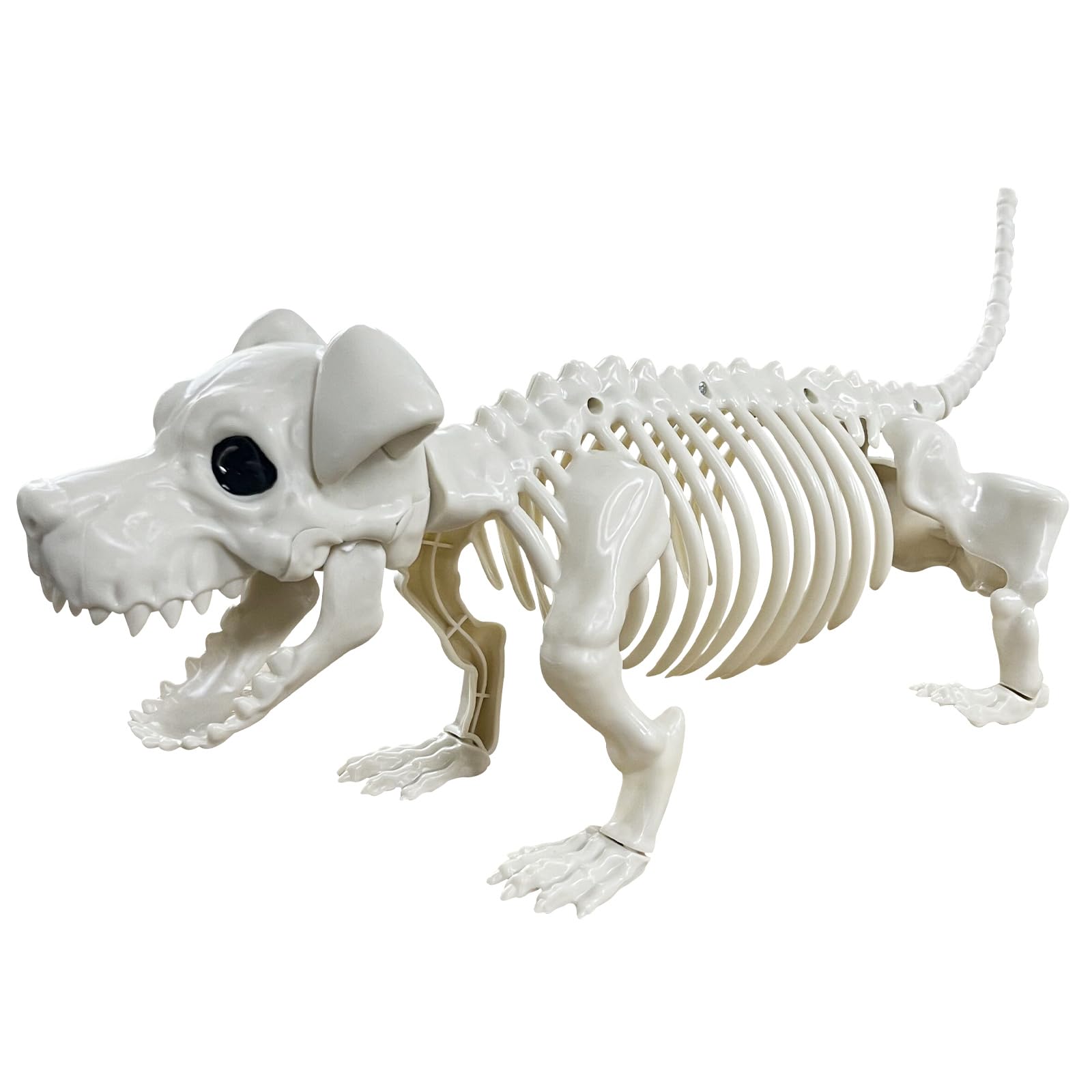 Wocst Halloween Skeleton 19” Pose-N-Stay Puppy Skeleton Plastic Dog Bones with Posable Joints Graveyard Prop for Fall Party Decor Indoor/Outdoor (Skeleton Dog)