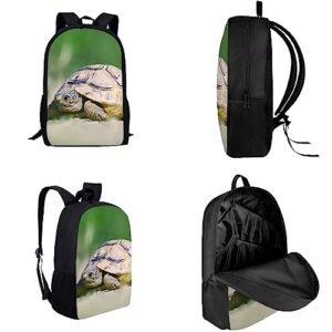 Turtle Bookbag for School Kids Backpack with Lunch Box Bag Set Boys Girls School Bag