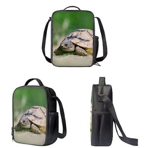 Turtle Bookbag for School Kids Backpack with Lunch Box Bag Set Boys Girls School Bag