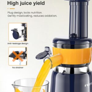 Cold Press Juicer, FEZEN Small Masticating Juicer for Fruits and Vegetables, Powerful Juice Extractor Machine with Compact Size and Space-Saving Feature, Very Easy to Clean (Updated)