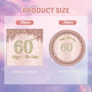 60th Birthday Decor 60th Birthday Decorations for Women Rose Gold Birthday supplies Plates and Napkins Rose Gold 1964 Birthday Decorations Disposable Tableware Party Supplies For Women