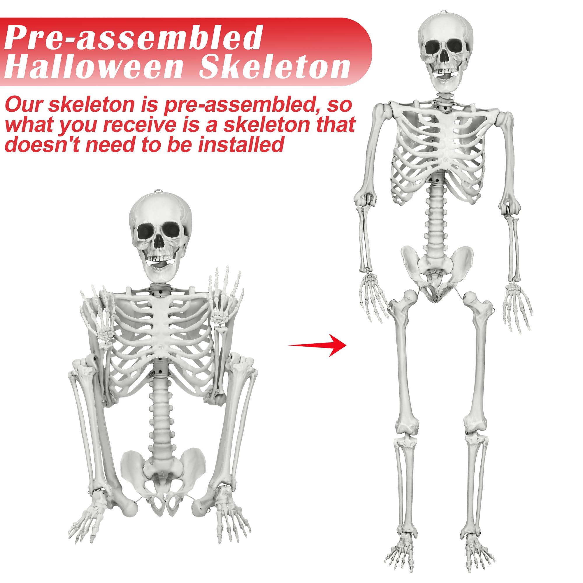 Fovths 5.4Ft/165 cm Pre-Assembled Halloween Skeleton Decoration Life-Size Skeleton Full Body Posable Human Bone with Movable Joints Headband Belt Eye Patch for Halloween Outdoor Yard Haunted House