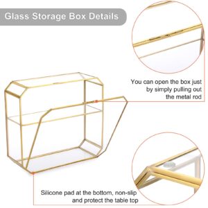 ELLDOO 2 Tier Clear Glass Storage Box, Gold Jewelry Makeup Display Organizer Case, Decorative Tower Box Storage for Trinket Perfume Lipstick Figure Statue Toy Display