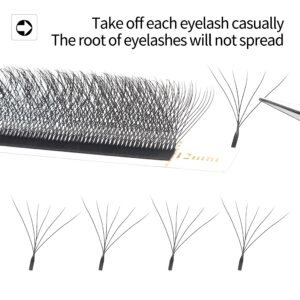 W Eyelash Extension 6D Volume Premade Fans 0.07 D Curl 8-15mm mix W Lashes Matte Black Lash Extensions Easy Fans W Shape Eyelash yy Eye Lashes(6D-0.07D-8-15mm Mix)