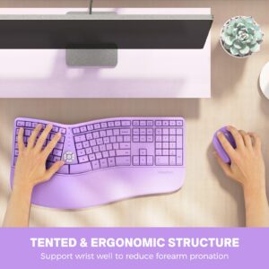 MEETION Ergonomic Wireless Keyboard and Mouse, Ergo Keyboard with Vertical Mouse, Split Keyboard Cushioned Wrist Palm Rest Natural Typing Rechargeable Full Size, Windows/Mac/Computer/Laptop,Purple