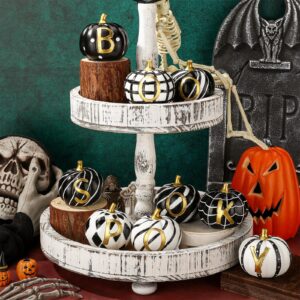 9 Pcs Resin Pumpkins Halloween Boo Spooky Indoor Decor Black and White Pumpkins 2.5 Inch Artificial Pumpkins Table Centerpieces Tiered Tray for Fall Halloween Autumn Home Wedding Decor