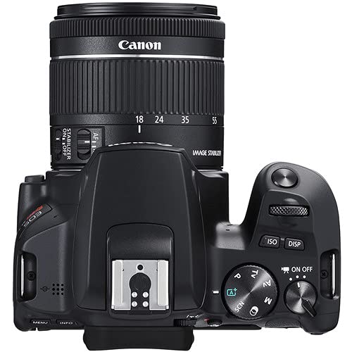 Canon Rebel SL3 / EOS 250D DSLR Camera w EF-S 18-55mm f/4-5.6 is STM Lens+500mm f/8.0 Telephoto Lens+case+128Memory Cards (24PC) (Renewed)