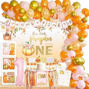 bsmiefus little pumpkin 1st birthday party decorations supplies, pumpkin first birthday decorations for autumn fall 1st birthday, halloween thanksgiving 1st birthday, little pumpkin 1st birthday