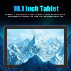 10.1 Inch HD Tablet, 5G WiFi Octa Core Tablet 5800mAh 8MP Front 13MP Rear Camera 100‑240V for Study for Android 12 (US Plug)