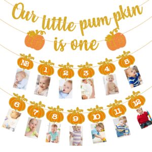 fall pumpkin 1st birthday photo banner autumn pumpkin birthday photo banner for newborn to 12 months milestone photograph bunting garland for baby boy girl 1st birthday party supplies