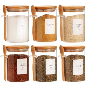 hhmjsm 6 pcs glass jar with bamboo lid and spoon - 17 oz large sugar container with 148 kitchen pantry spice jar labels preprinted - glass containers with wooden lids hold coffee, tea, candy