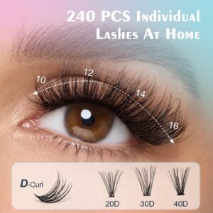 Individual Lashes 240Pcs 20D+30D Lash Clusters D Curl Mixed 10-16mm Cluster Lashes Matte Black Wispy DIY Lash Extensions (20/30D-D,10-16mm Mixed)