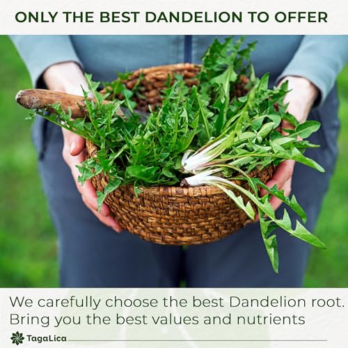 Premium 135 Dandelion Root Tea Bags, 100% Natural & Pure from Dandelion Root, Eco-Conscious Tea Bags, Dandelion Tea, Dandelion Root Herbal Tea. Dandelion Root Tea. No Sugar, No Caffeine, No Gluten, Vegan