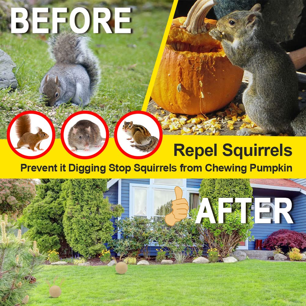 ANEWNICE Squirrel Repellent,Chipmunk Repellent, Squirrel Repellents Outdoor,Squirrels Deterrent for Garden/Bird Feeders/Attic/Cars/Shed, Squirrel Away,Mint Rodent Repellent- 8-Packs