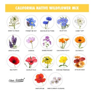 California Wildflower Mix - 10,000 Seeds - 17 Varieties - No Fillers, Open Pollinated and Non GMO, Perennial and Annual Garden Flowers, Attracts Bees and Butterflies