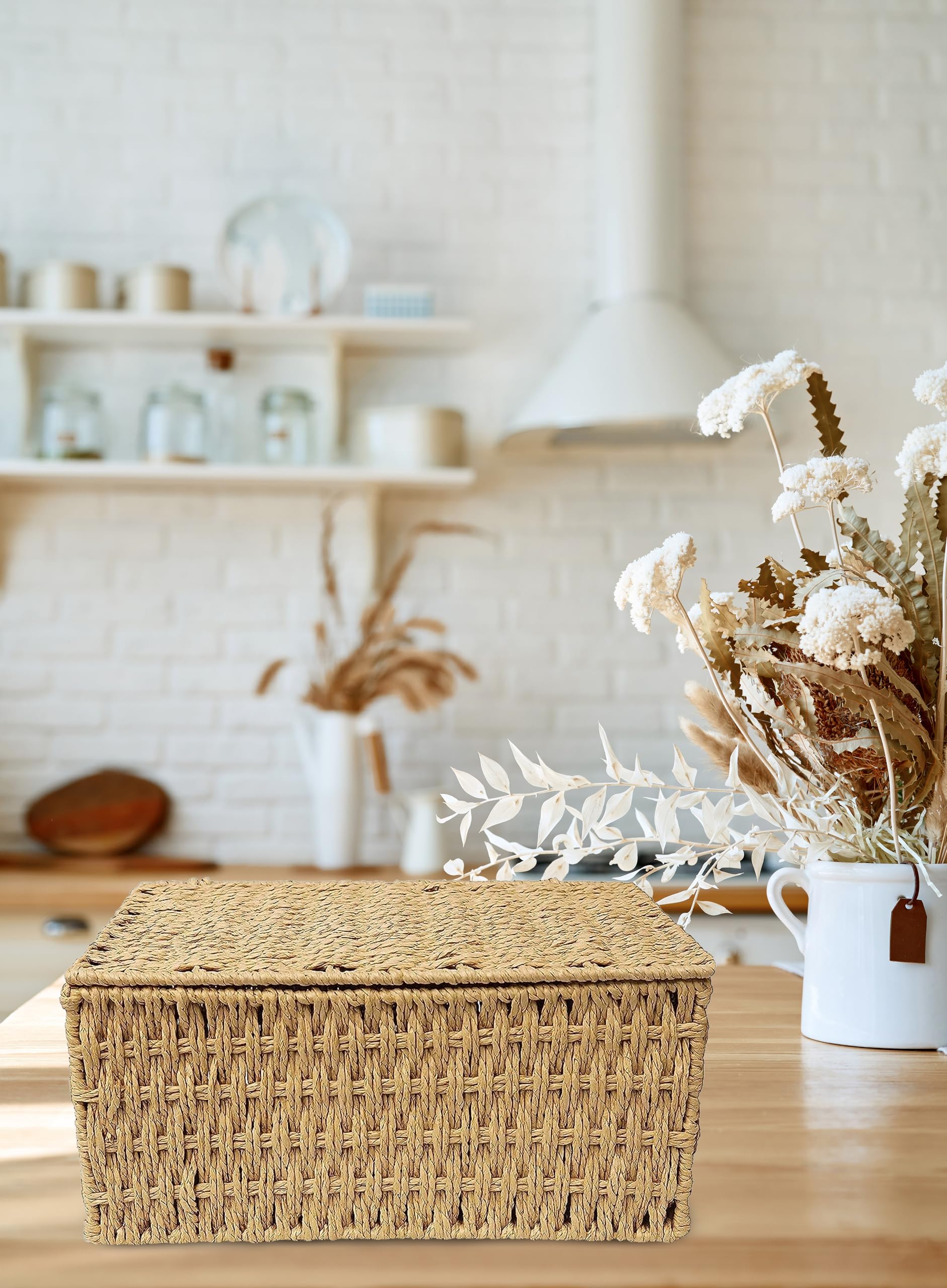 RoyalHouse Woven Stackable Storage Baskets with Lid, Decorative Rope Organizer Bin - Set of 2 (2 Sizes), Beige (No Liner)