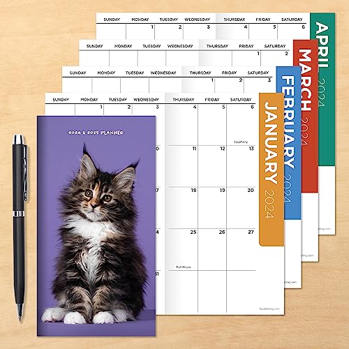 TF PUBLISHING 2024-2025 Kittens 2-Year Small Monthly Pocket Planner | 2-Page Large Calendar Grid and Lined Notes Section in Back | Monthly Day Planner for Purse | 3.5" x 6.5"