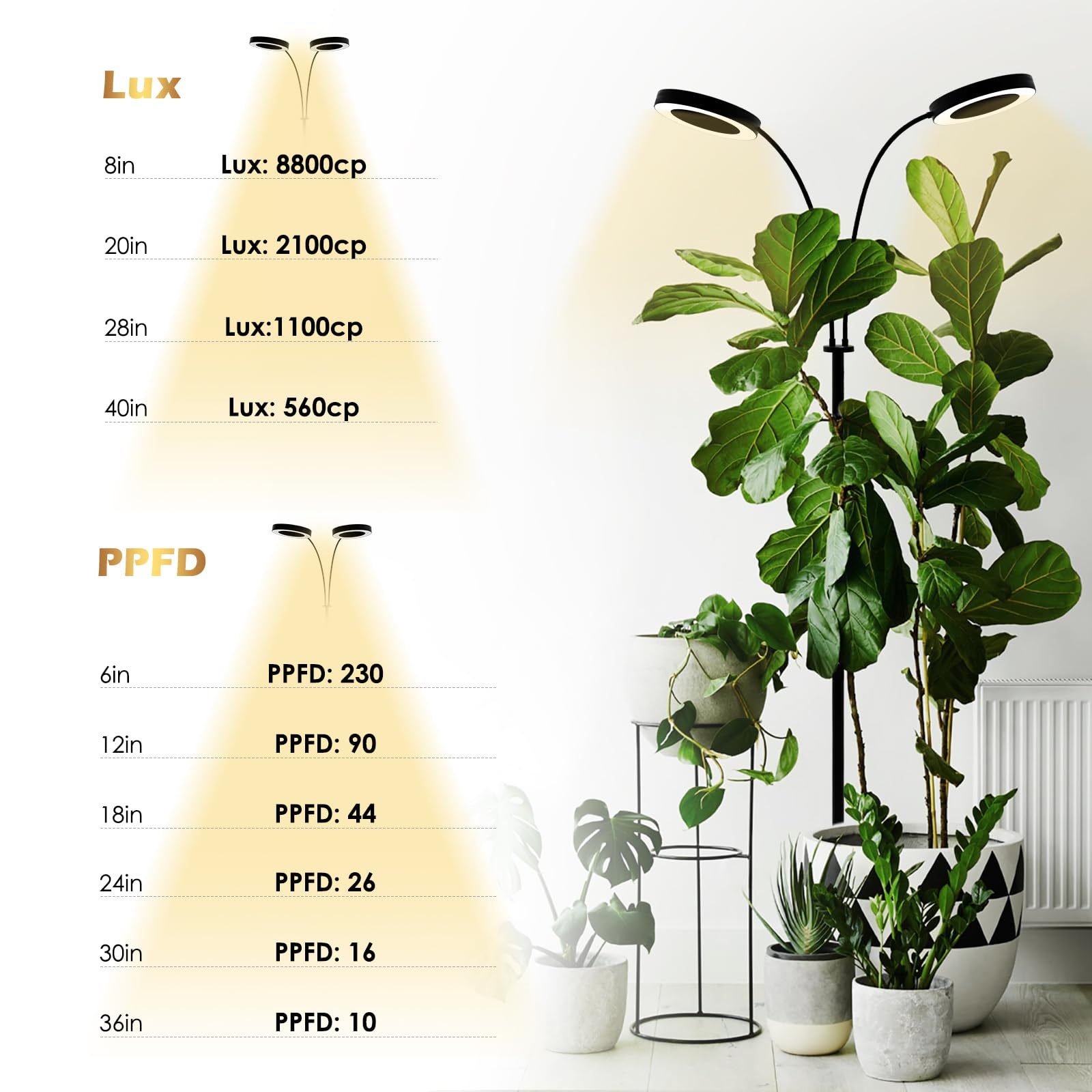 GLOWRIUM Grow Light with Stand,2-Head LED Plant Light for Indoor Plants, Full Spectrum Grow Lamp, 3/9/12H Timer, 6 Dimmable Levels, 3 Lighting Mode, Adjustable Height