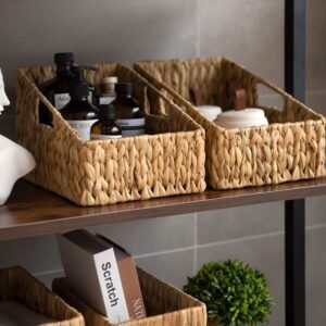 StorageWorks Wicker Baskets for Storage