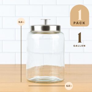 1 Gallon Glass Cookie Jar with Metal Lids - Airtight Food Storage Container for Freshness - Ideal for Flour, Chewy Pet Treats, Candy, Dried Foods Perfect for Kitchen or Laundry Room Use- Pack of 1