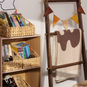 StorageWorks Wicker Baskets for Storage