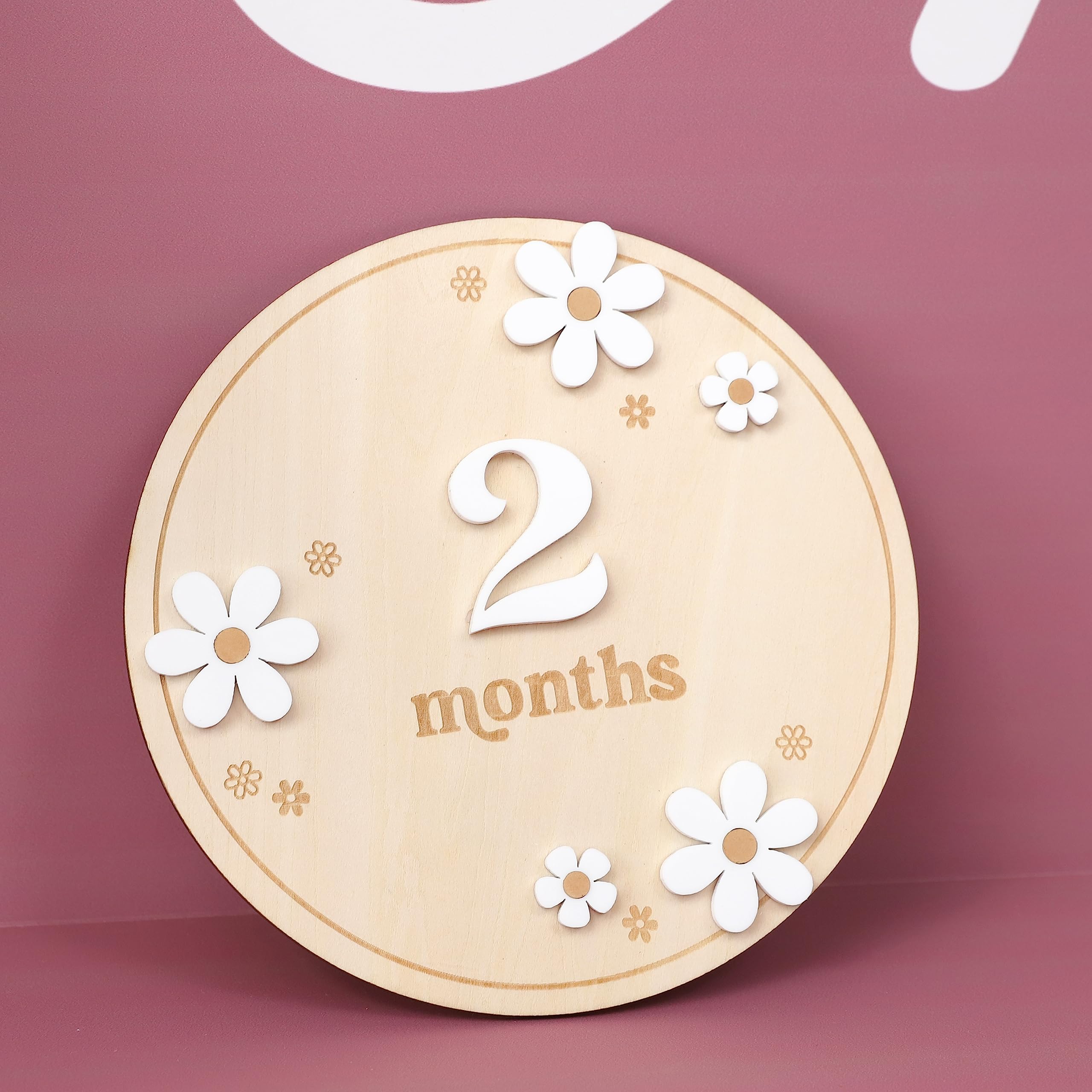 Wooden Boho Daisy Flower Milestone Cards - 1-12 Months Interchangeable Milestone Card Decor,Baby Party Photo Prop，Full Moon Background Decoration Props. (2-12 Months Daisy Flower Milestone Cards)