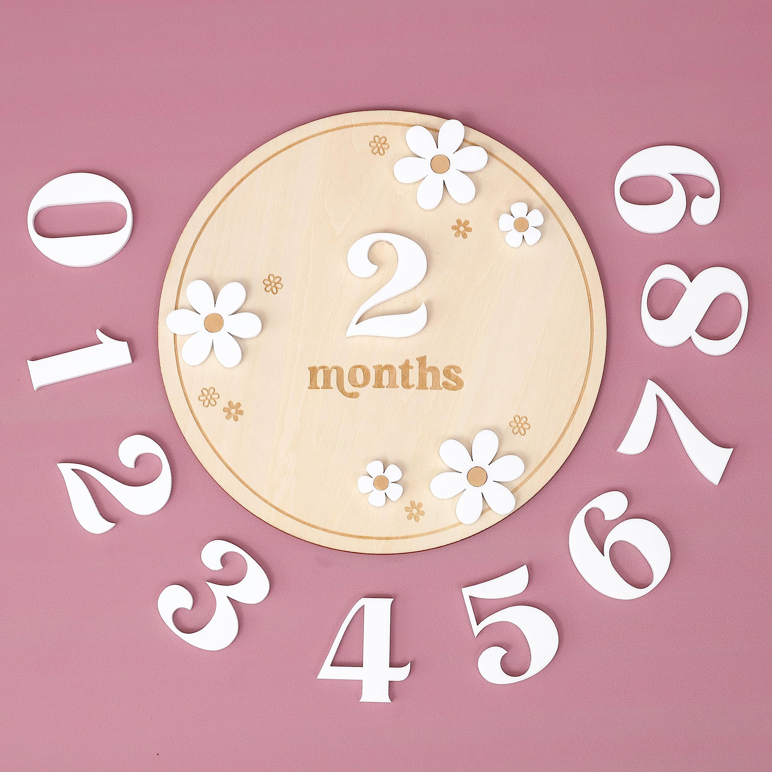 Wooden Boho Daisy Flower Milestone Cards - 1-12 Months Interchangeable Milestone Card Decor,Baby Party Photo Prop，Full Moon Background Decoration Props. (2-12 Months Daisy Flower Milestone Cards)