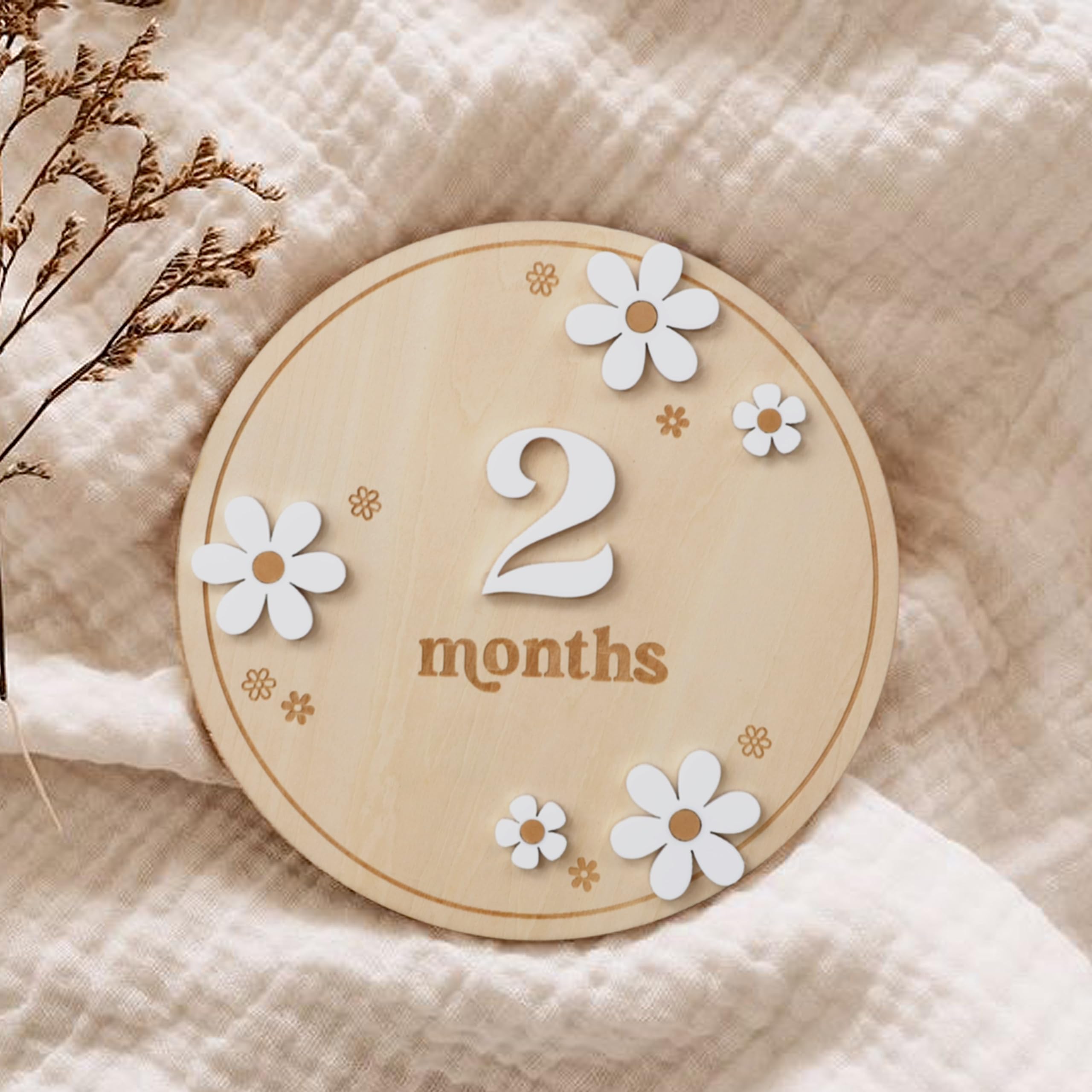 Wooden Boho Daisy Flower Milestone Cards - 1-12 Months Interchangeable Milestone Card Decor,Baby Party Photo Prop，Full Moon Background Decoration Props. (2-12 Months Daisy Flower Milestone Cards)