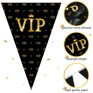 Faccito 5 Pieces 49 ft VIP Pennant Banners Movie Night Decorations VIP Party Triangle Banner Flags VIP Party Banners Pennant Bunting for Red Carpet Movie Theme Party 1920s Party Supplies