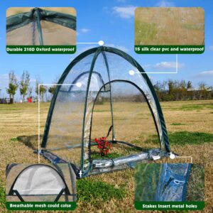 Easy Set-up Mini Greenhouse Pack of 2 Mini Pop up Flower House Backard Garden Plant Cover for Cold Forst Protection PVC Sunshine Room with Stakes and Carrybag (28" L x 28" W x 32" H)