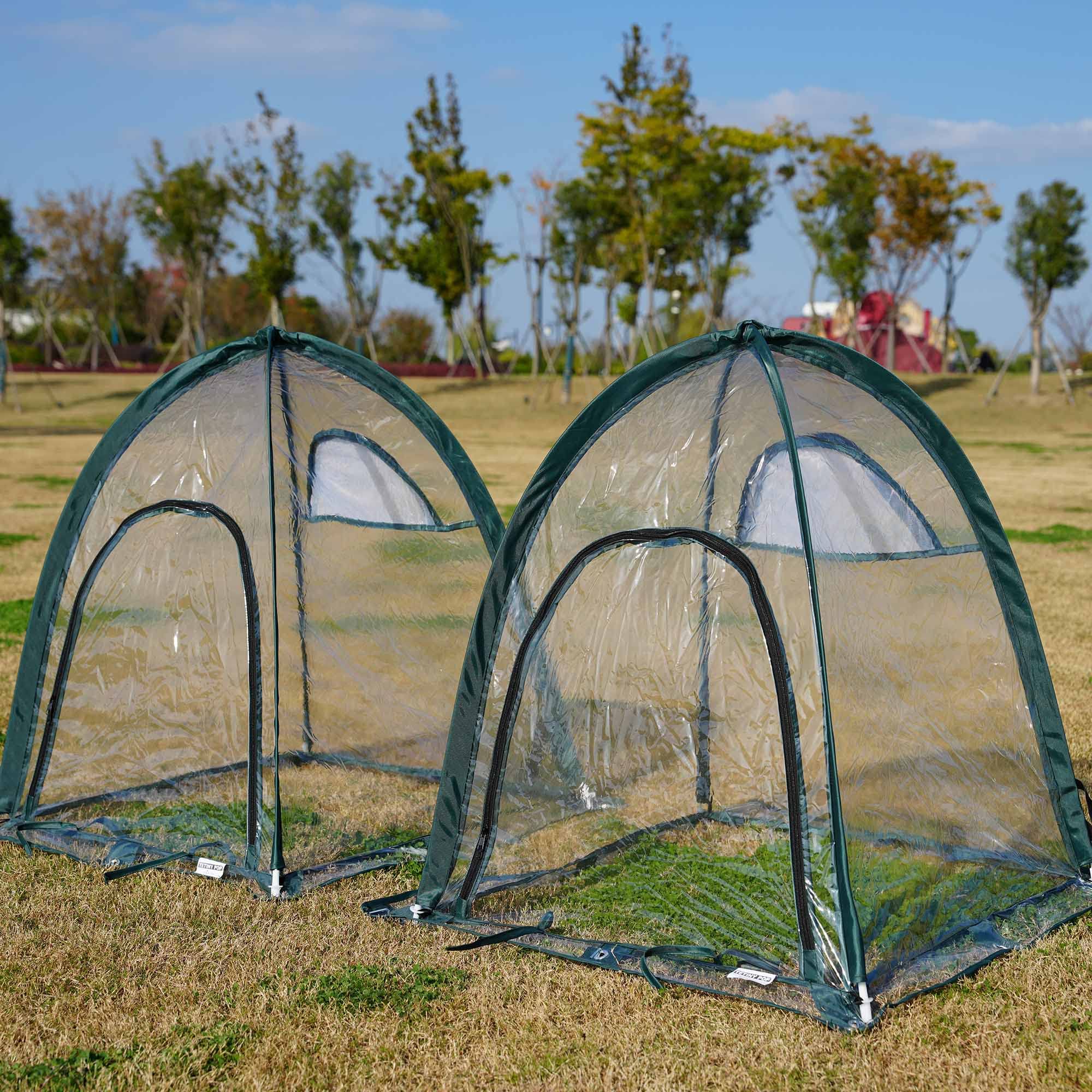 Easy Set-up Mini Greenhouse Pack of 2 Mini Pop up Flower House Backard Garden Plant Cover for Cold Forst Protection PVC Sunshine Room with Stakes and Carrybag (28" L x 28" W x 32" H)