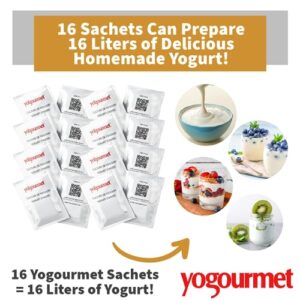 Yogourmet Yogurt Starter (16 Pack Bulk Version) - Make Yogurt at Home - Starter Culture - All Natural, Gluten Free, Kosher, Halal - 3 g Sachets